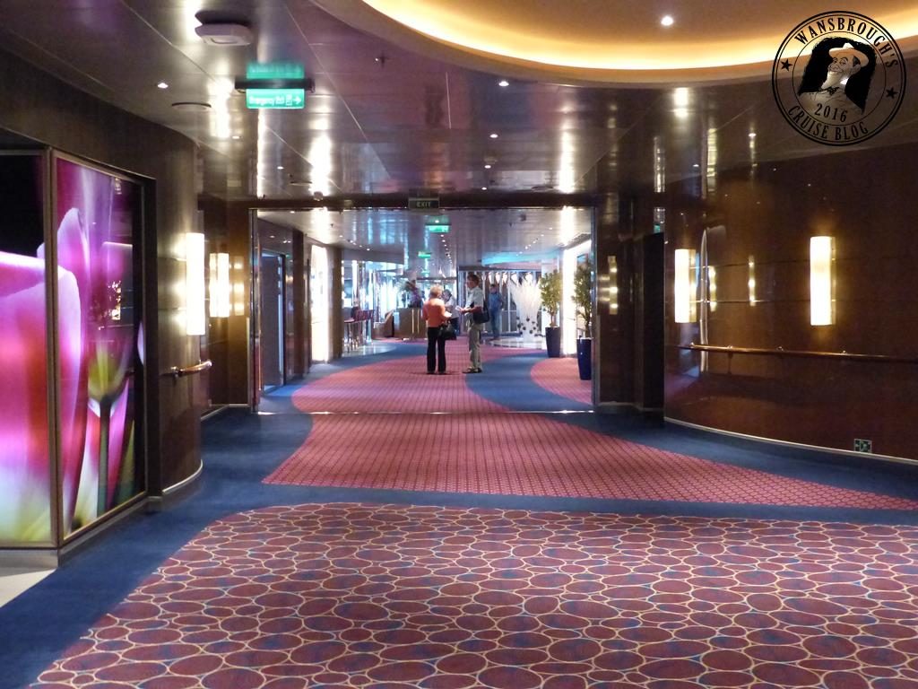 ms Koningsdam Ship Visit Portland Harbour (200) - Wansbrough's Cruise Blog